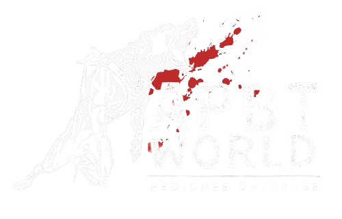 APBT WORLD